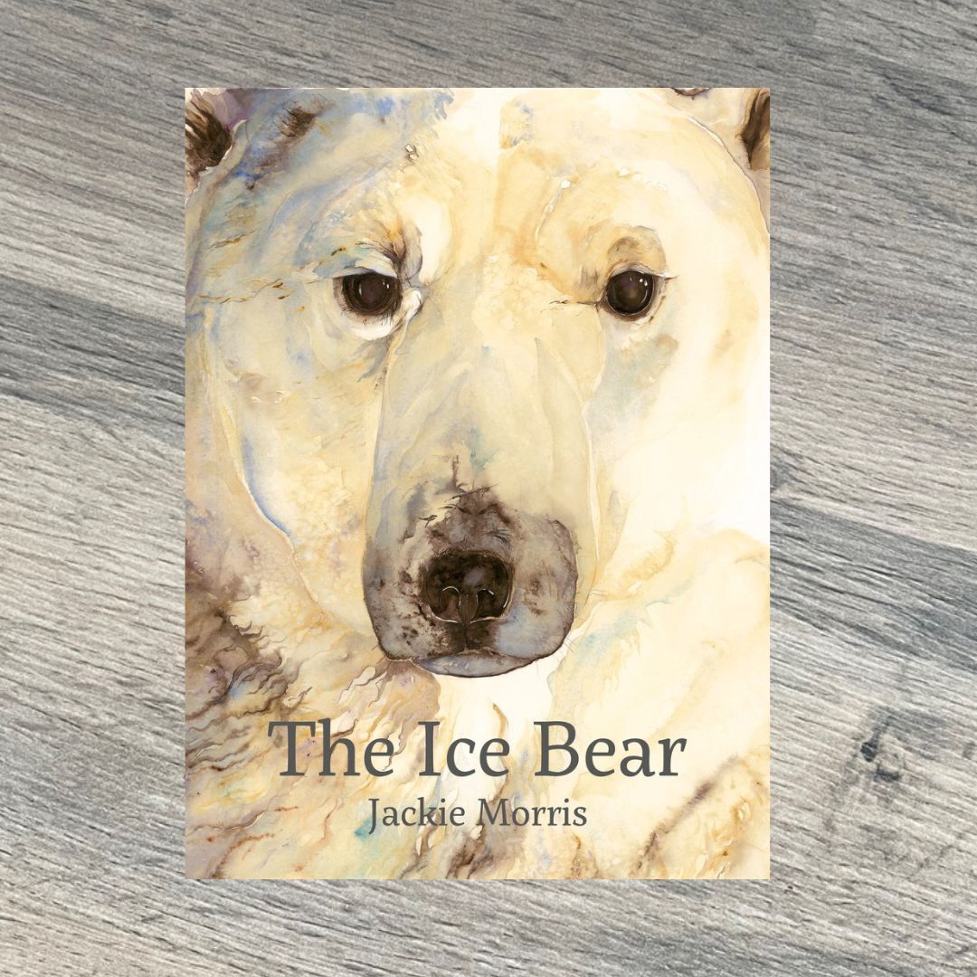 Cúal comedia Final ice bear jacke Derivación vocal Lío